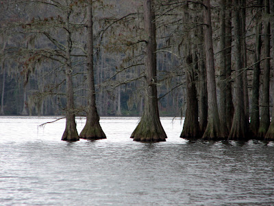 Florida Recreation: Lake Munson