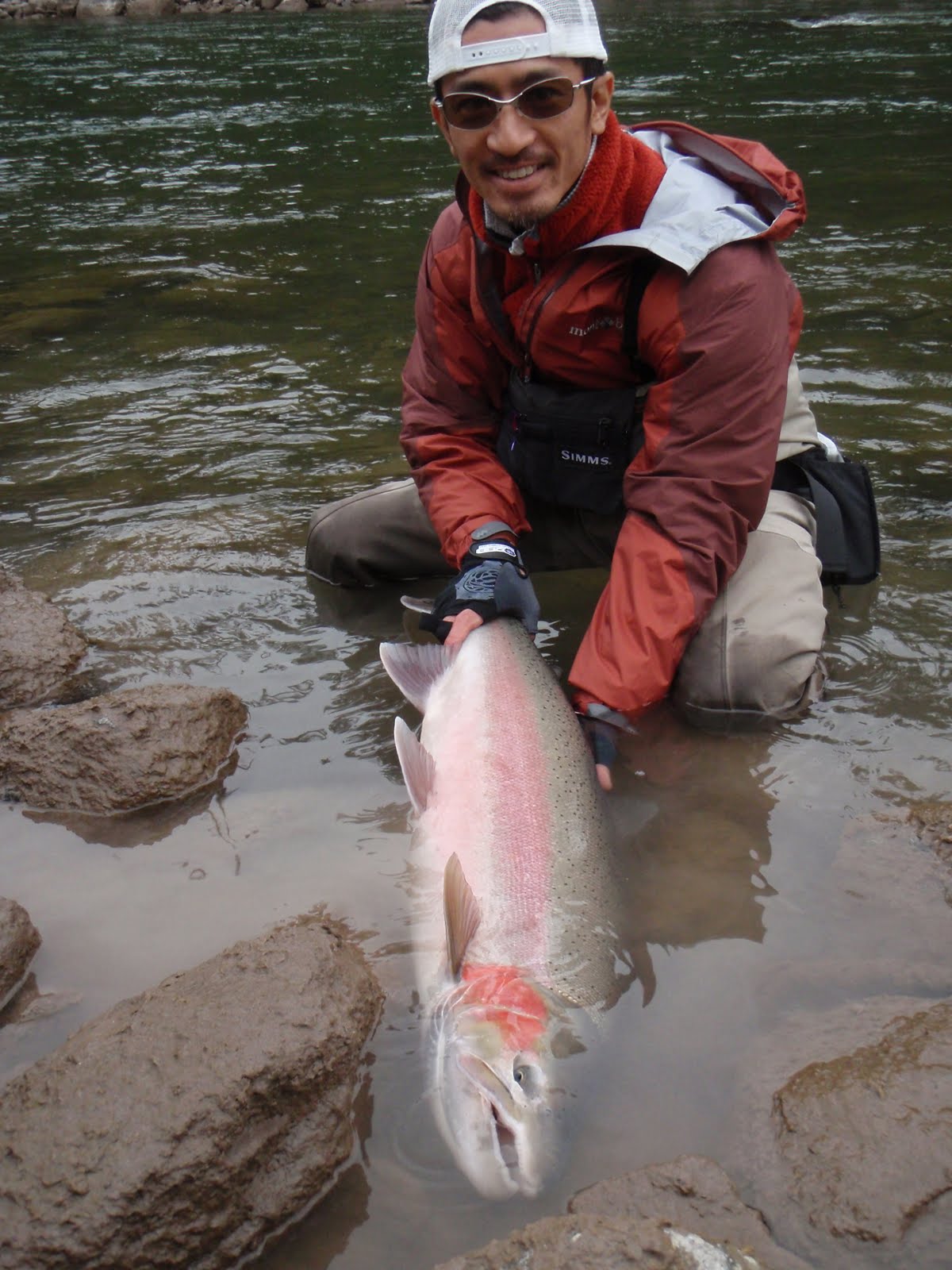 Country Pleasures Fly Fishing: Spring Steelhead in Terrace BC