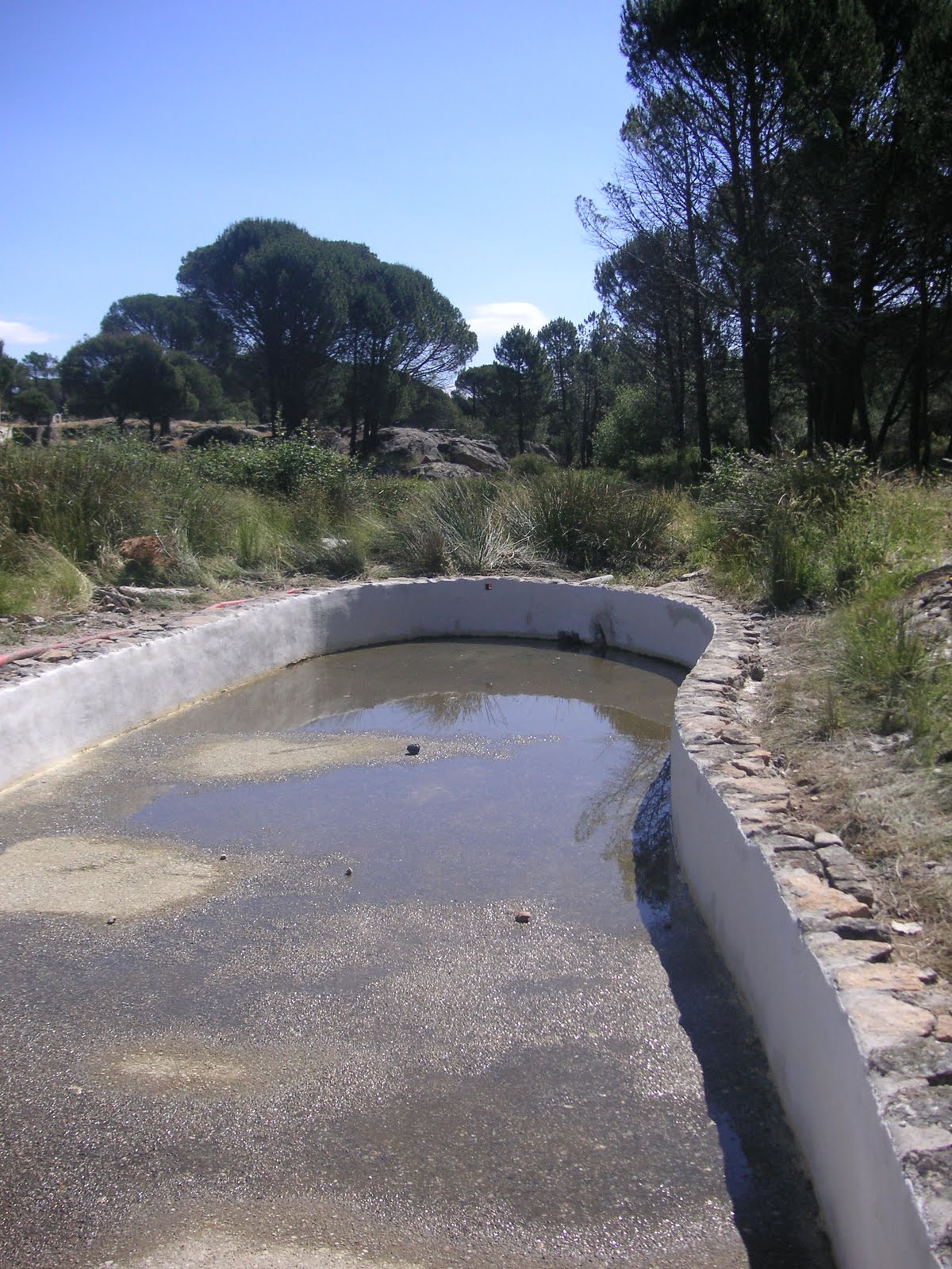 cadalso vive: El estanque del Venero...