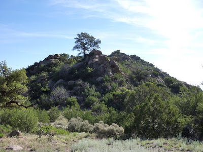 Greg's Running Adventures: Back to Back 15 mile runs