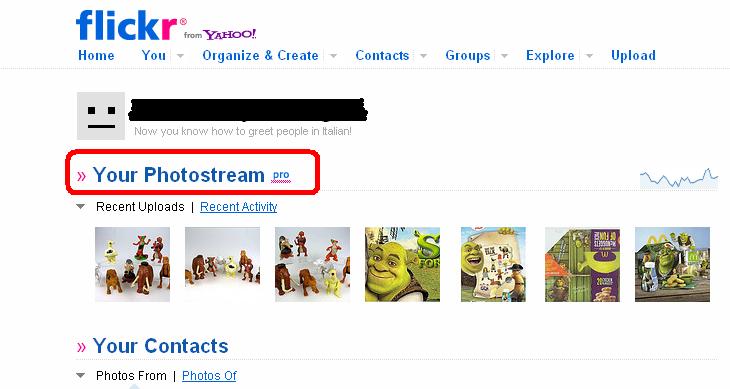 How to Add a Flickr Slideshow Gadget to Blogger | Blog Know How