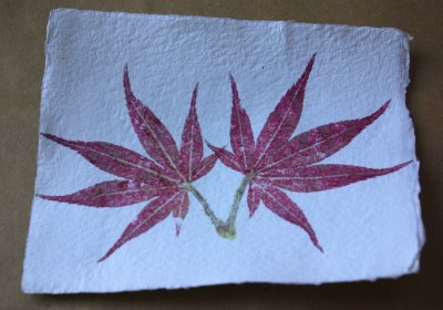 Creative ideas for you: Leaf Stamping