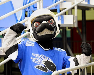 Station Nation: MASCOT REVOLT?