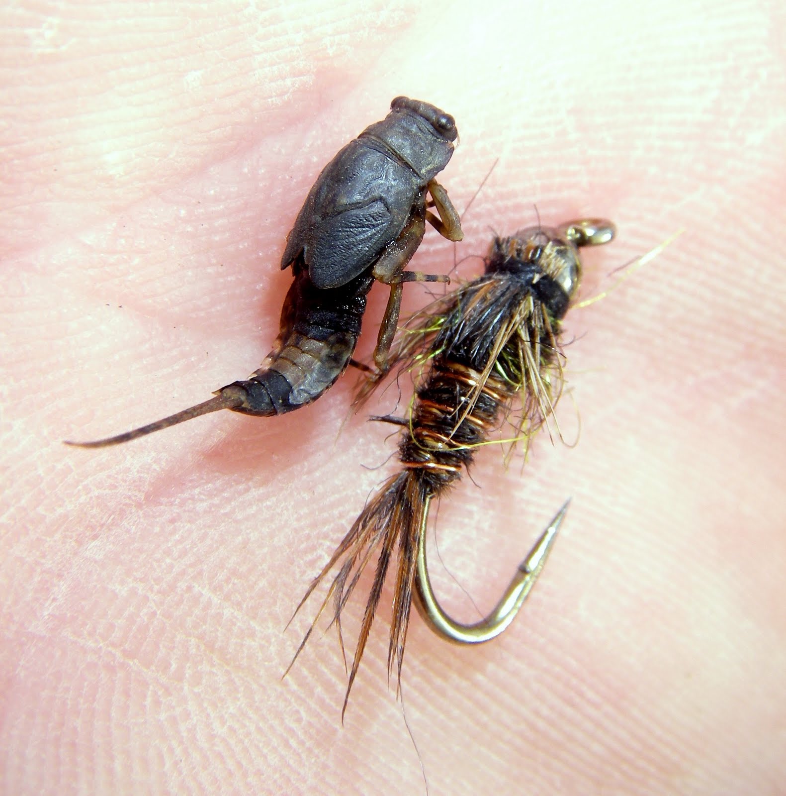 The Connecticut Yankee: The Hatch