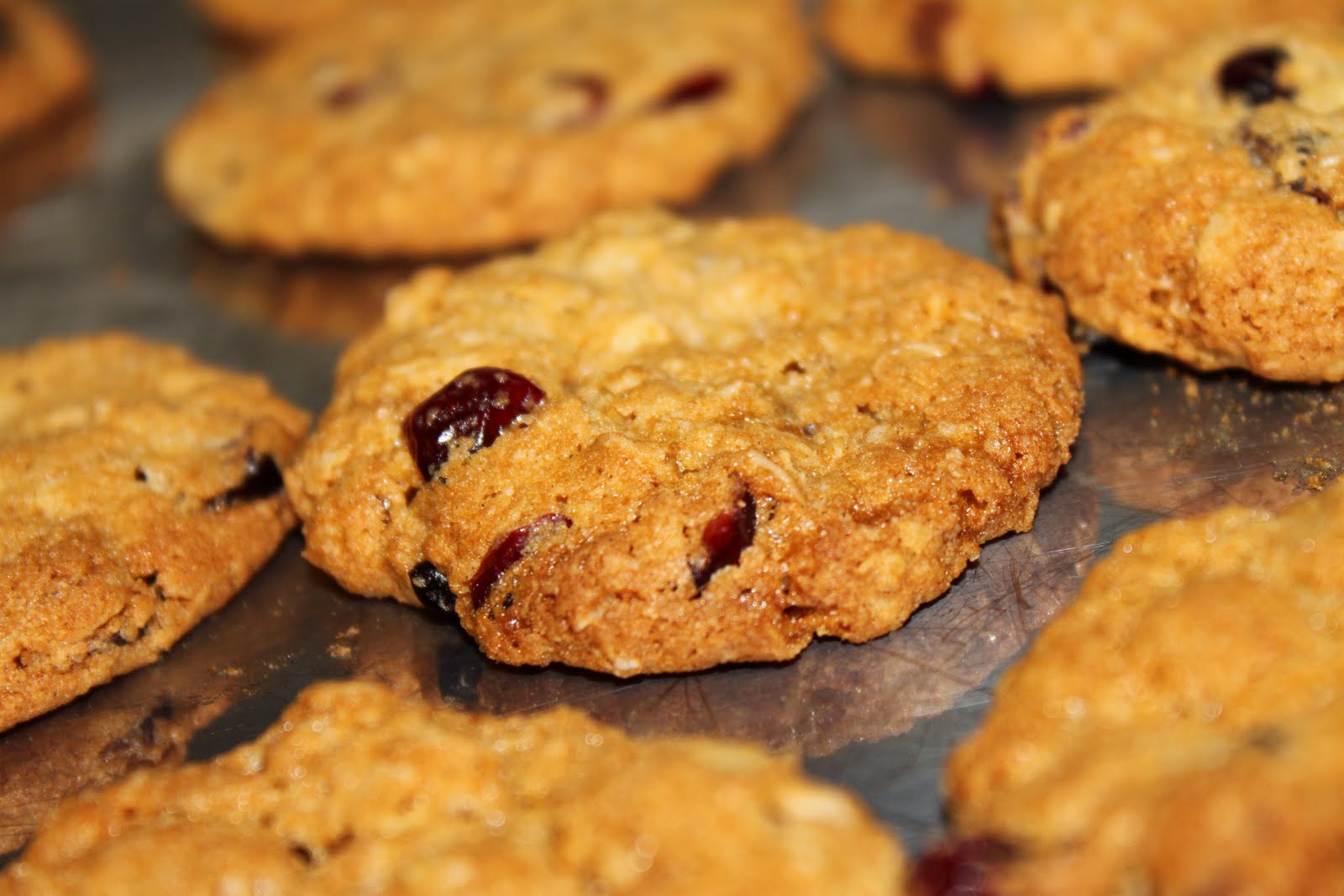 My View From The Avenue: Oatmeal Craisin Cookies