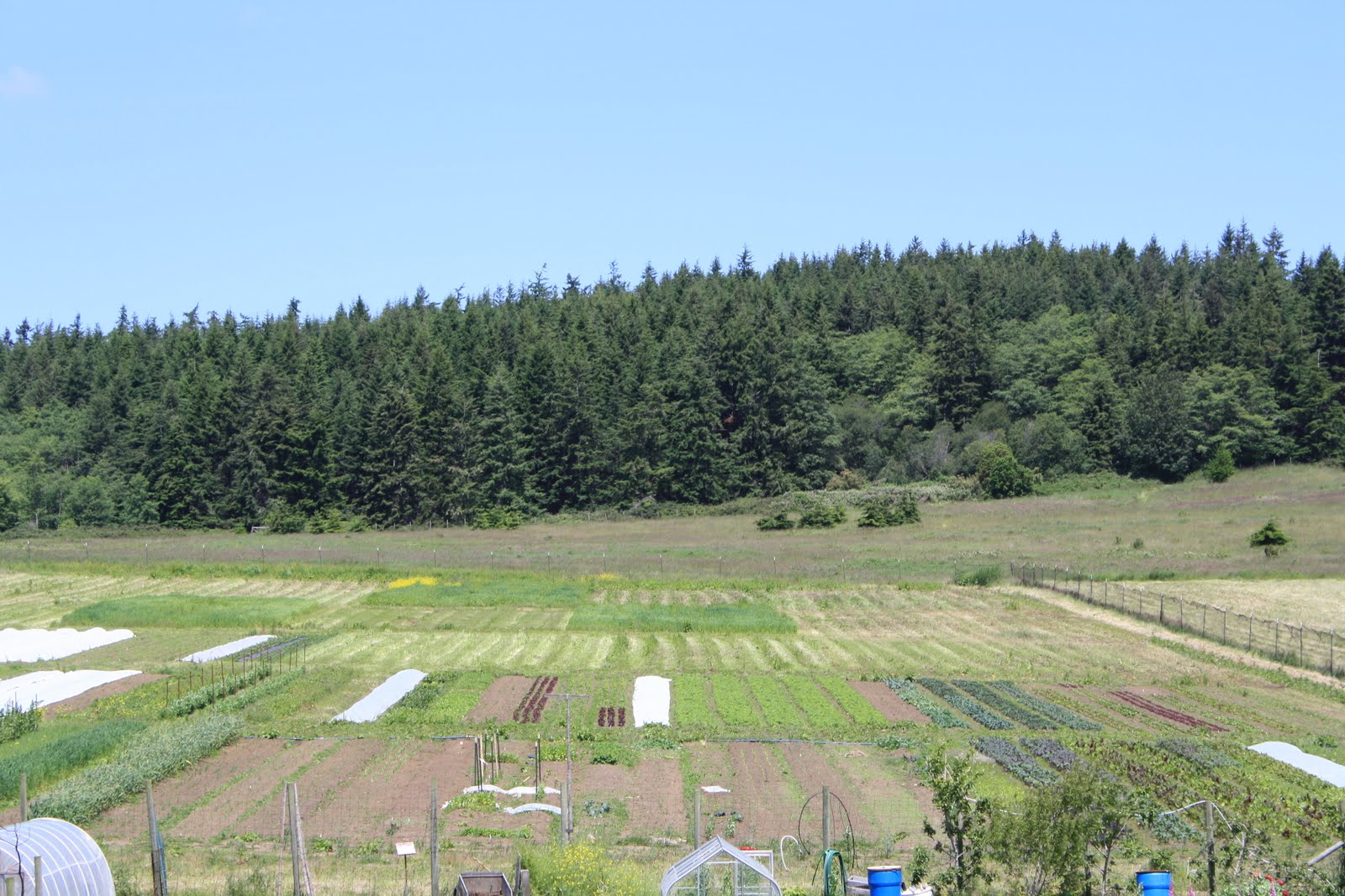 Greenbank Farm Training Center