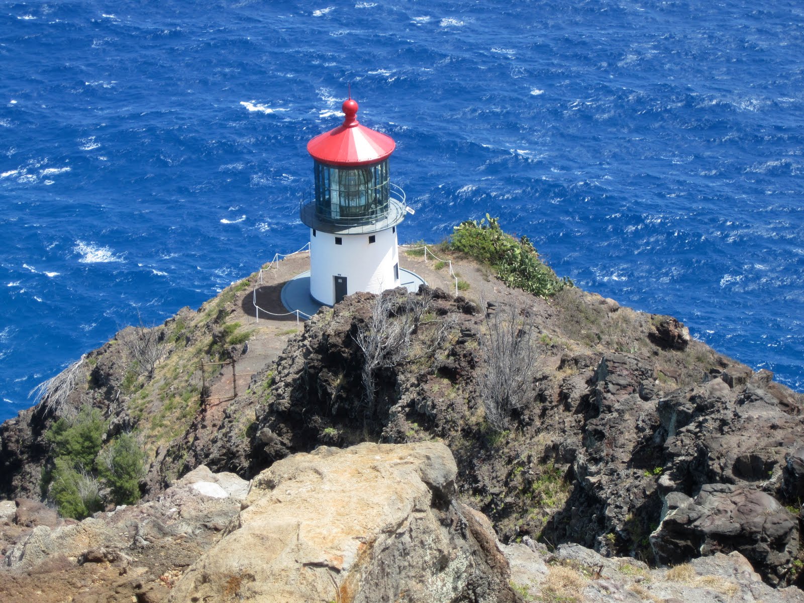 Picture Perfect: Aloha from Oahu! - GoExploreNature.com