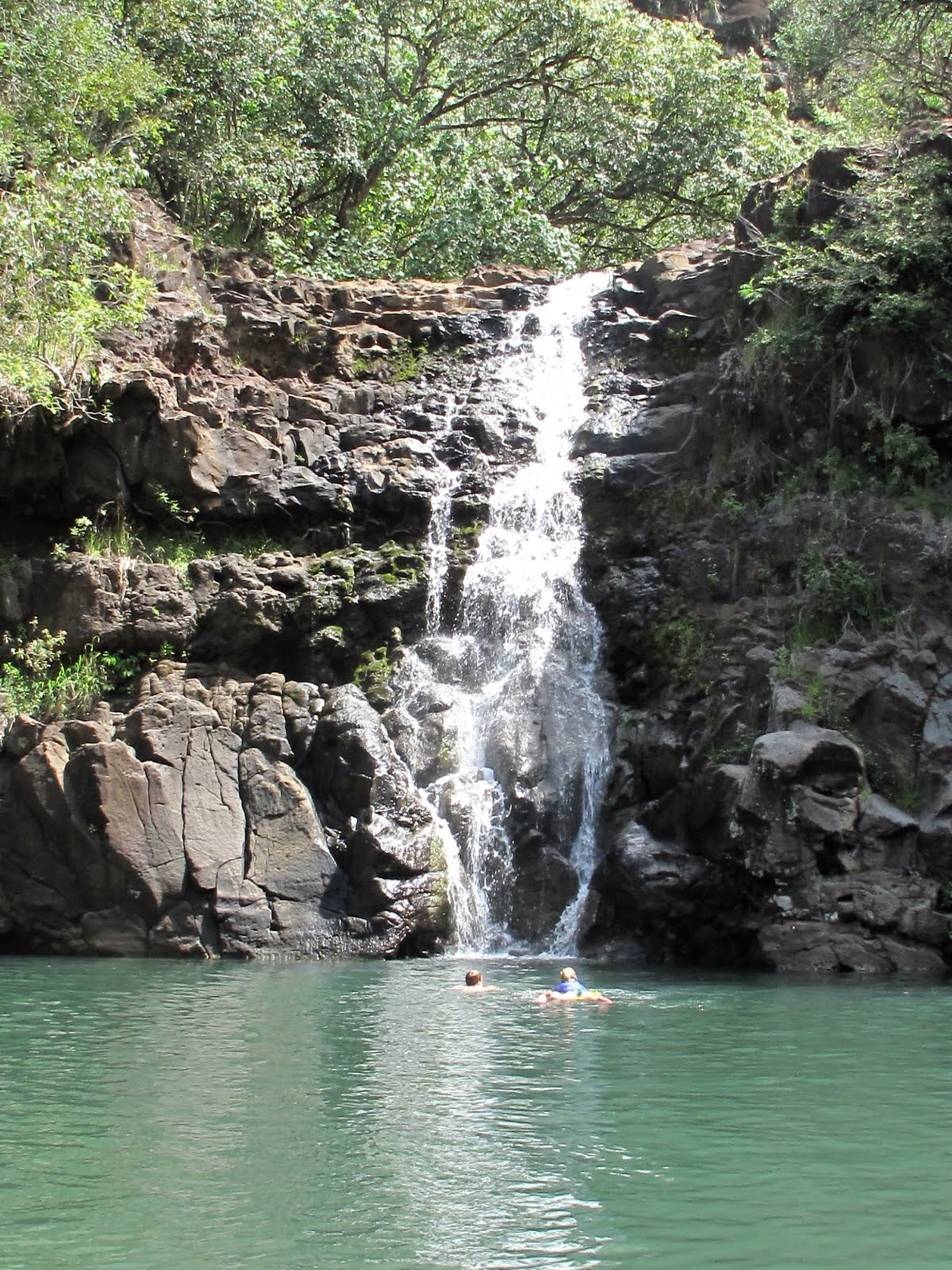 A Slice of Hawaiian Life at Waimea Valley - GoExploreNature.com