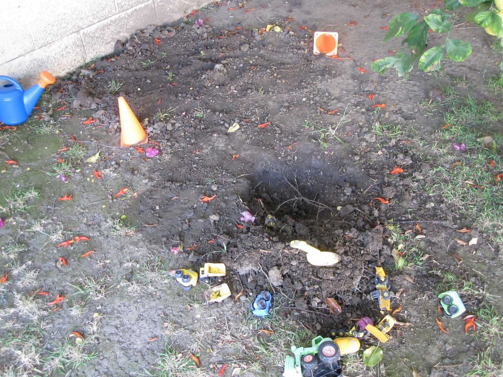 Fun Friday: Dig in the Dirt - GoExploreNature.com