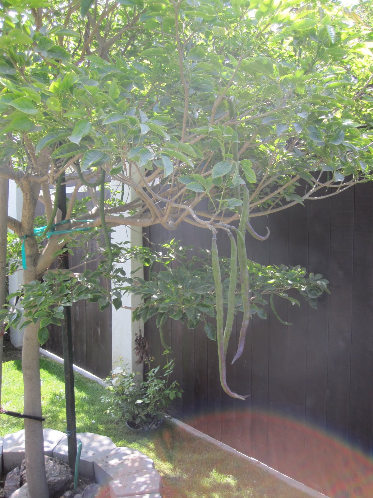 This one came straight from the big explorer himself. While touring my ...