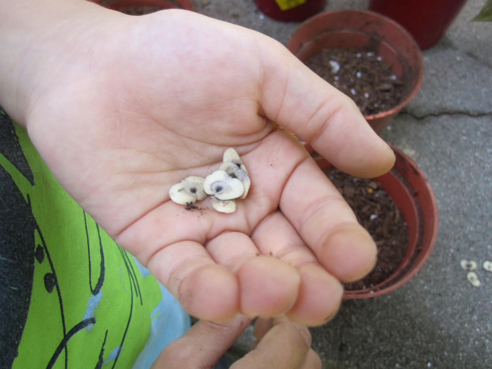 OUR NOTES FROM THE FIELD