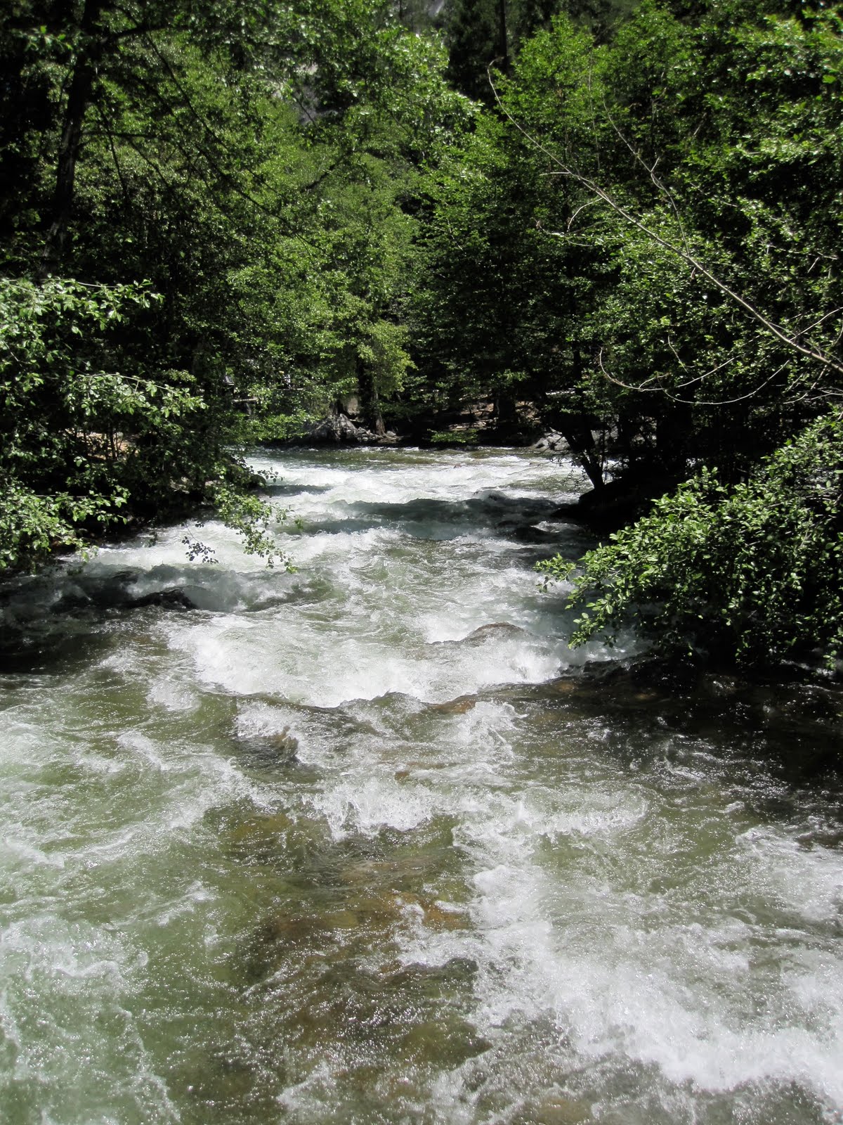 Where to Go in Yosemite With Kids: The Nature Center at Happy Isles ...