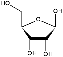 Acidos Nucleicos