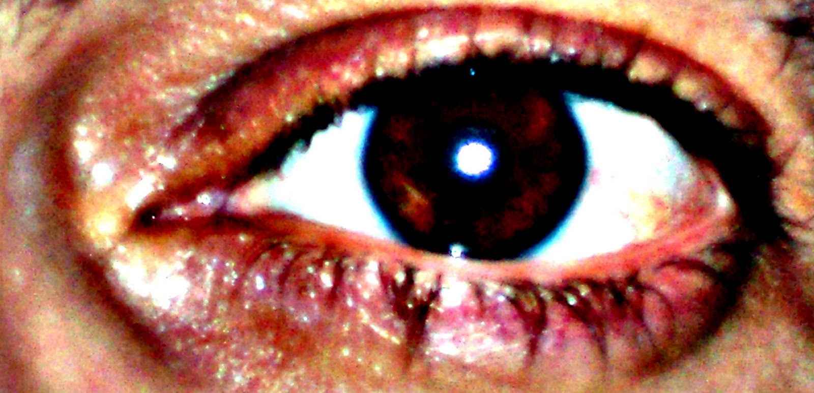 El Desavío: febrero 2011