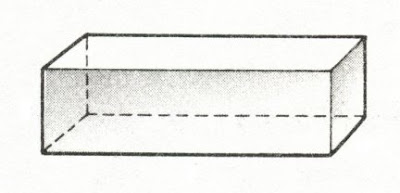 LA ISLA DE LAS MATEMATICAS: PRISMAS