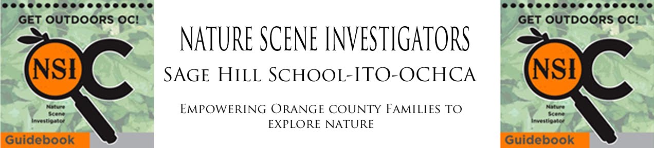 NSI Development Program: Crystal Cove State Park