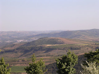 Trans-Ferir: Castanheiro do Vento July 2007 - some more images of a new ...