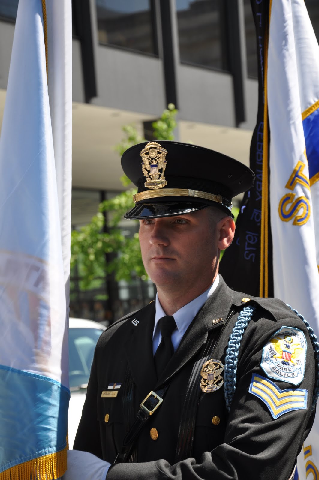 Police Lieutenant Stripes