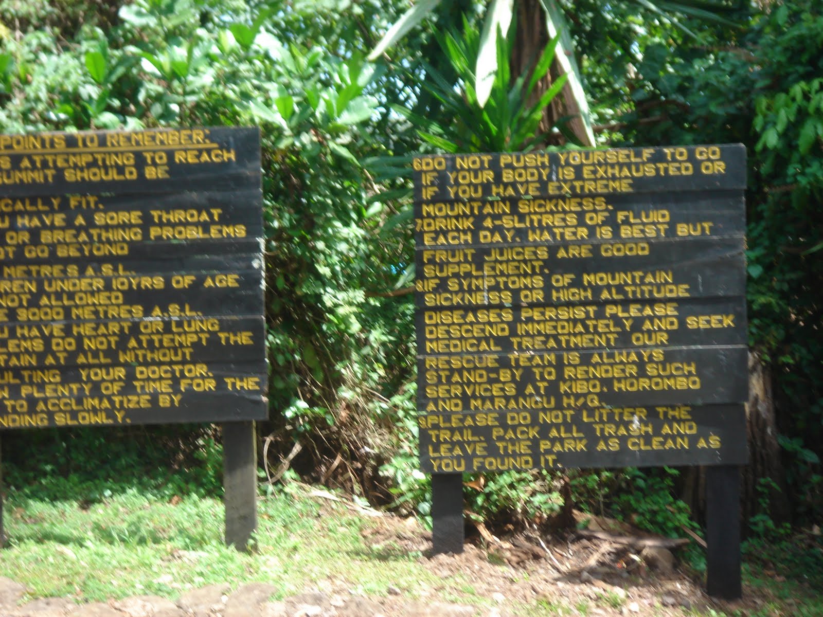 Life and a Slice of Bread: Climbing Kili....The Photos......The Experience