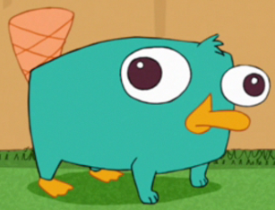 View topic - Perry the Platypus! - Chicken Smoothie