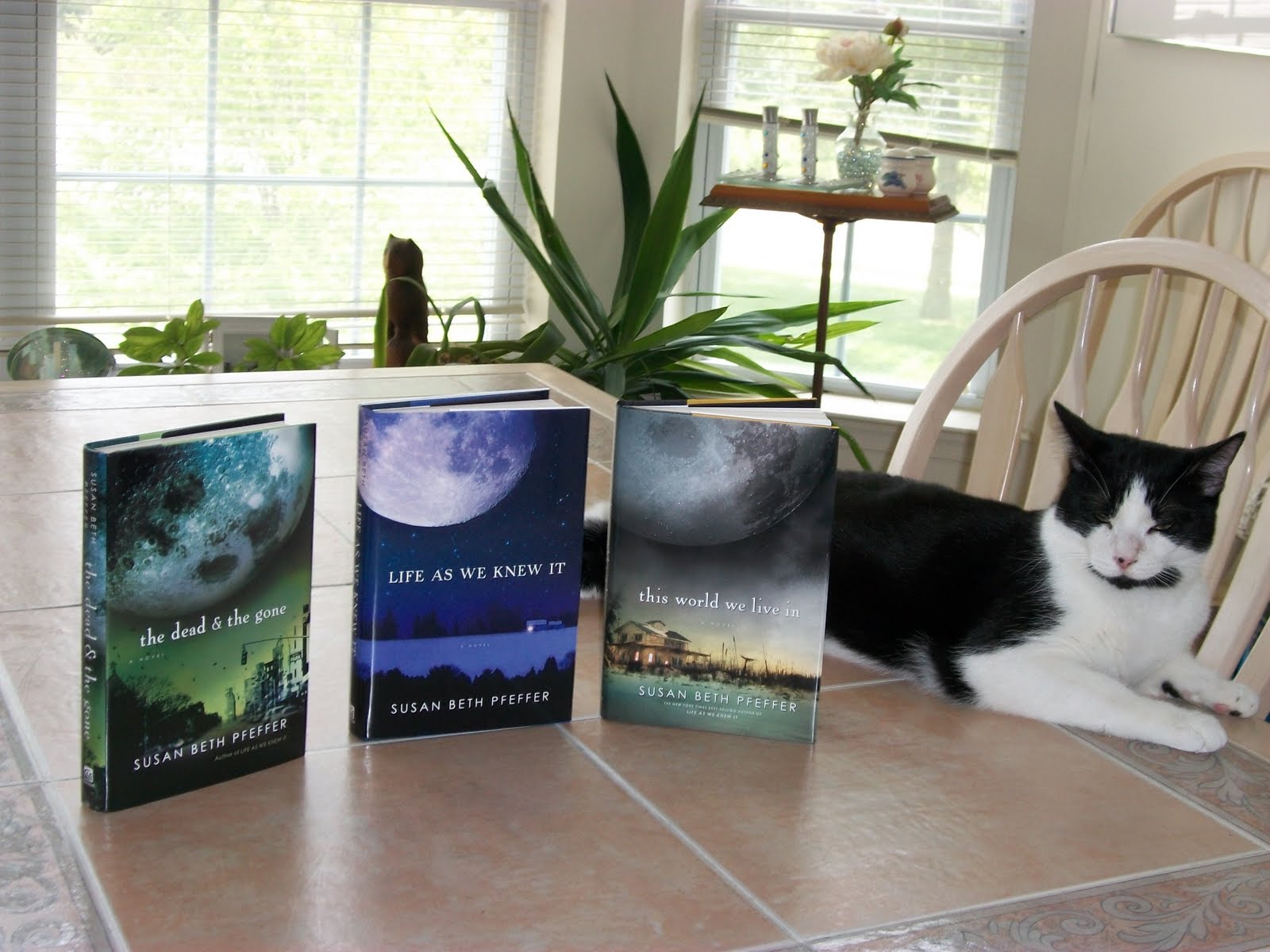 Susan Beth Pfeffer: Teacher, Study and Discussion Guides for Life As We ...