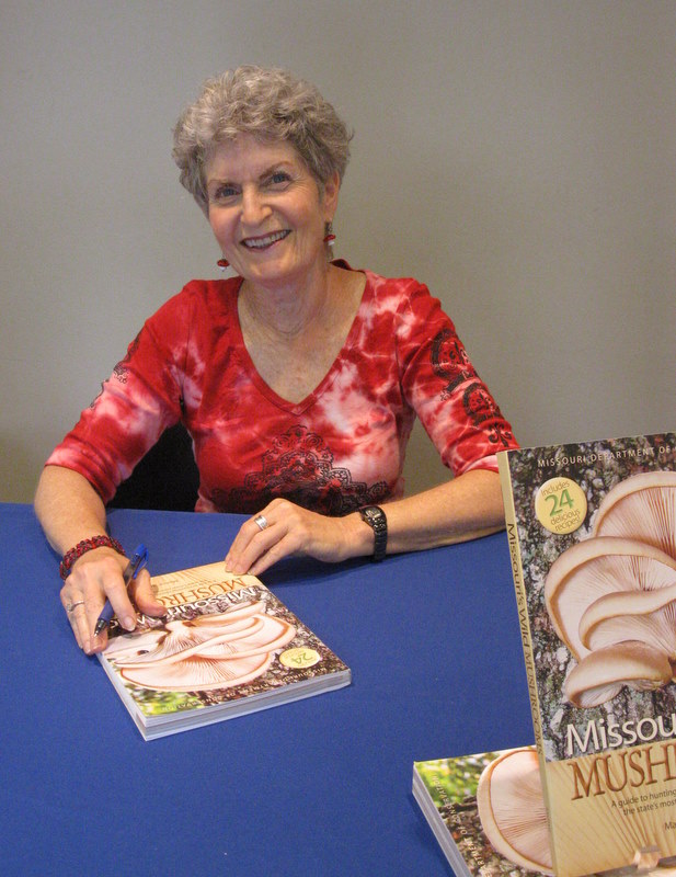 Sandy Haynes' Studio