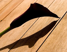 Black Calla Lily's Poem Garden