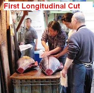 "How To Cut Bluefin Tuna" Karen Lynn Charters Gloucester, MA