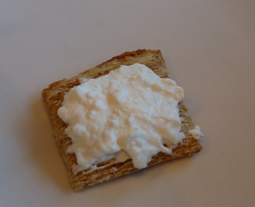 Pleasures of Prairie Life: Homemade Cream Cheese (from Raw Milk)