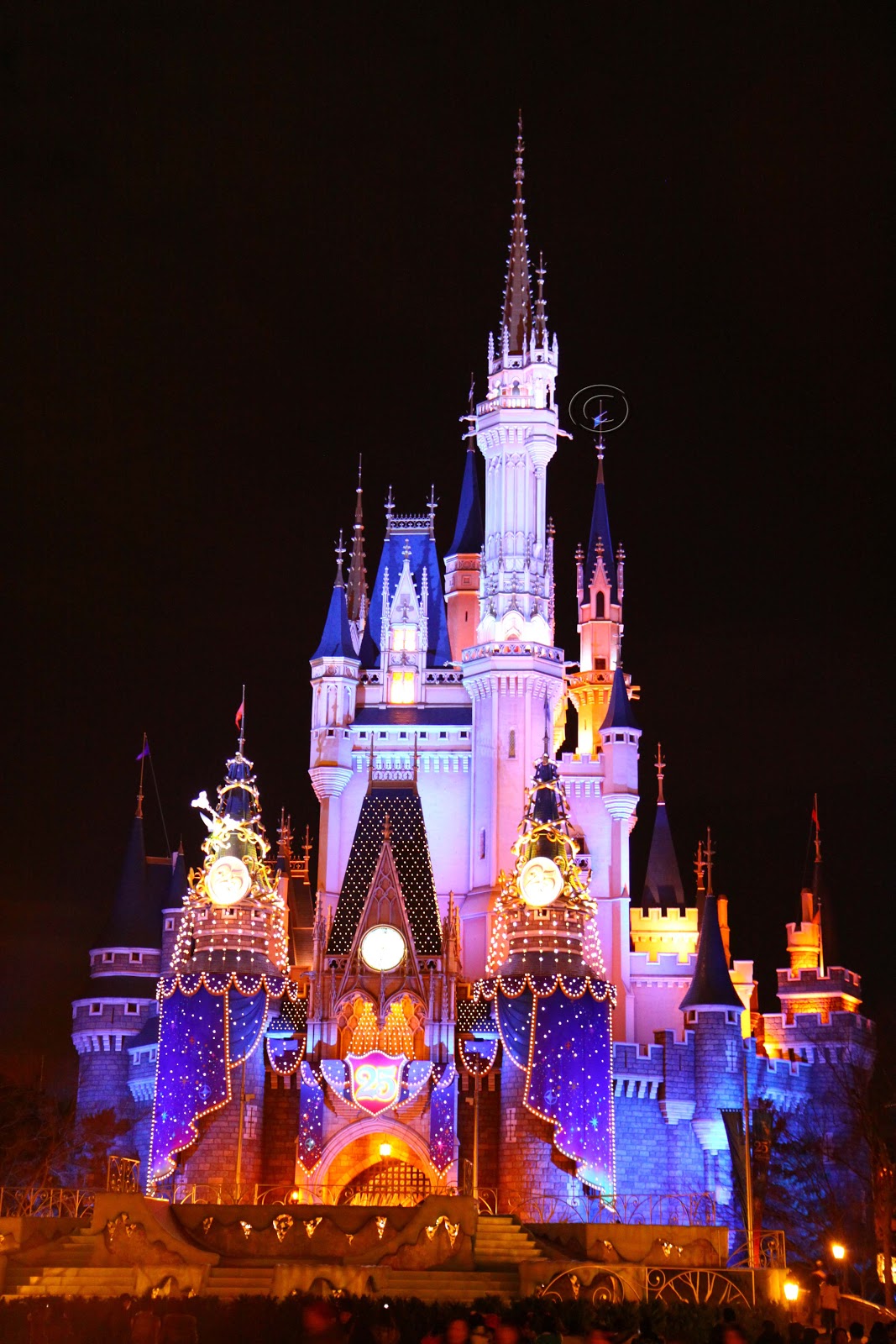 Piqture-PerFect: Japan, Tokyo (Disney Land) Night view