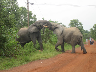 Akwabaa to Accra, Ghana: Rebirth: Northern Ghana Tour