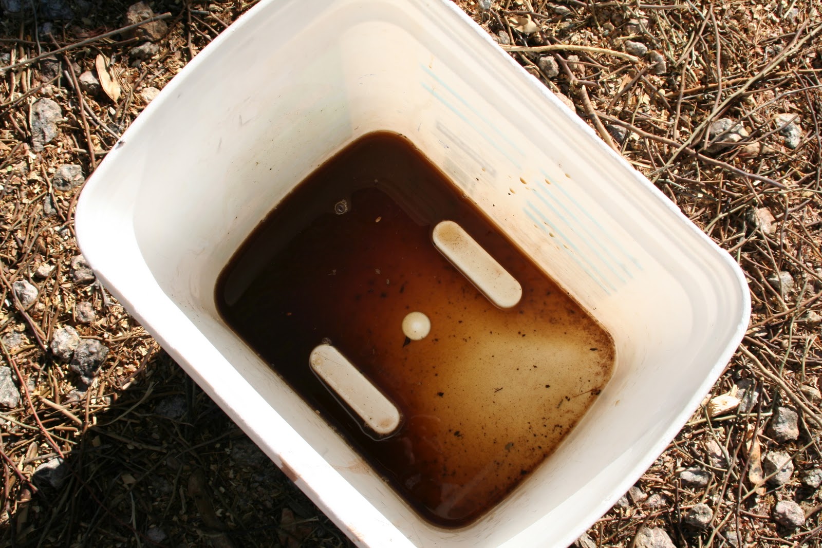 Practical Biology: science for everyone: The incredible, amazing ...