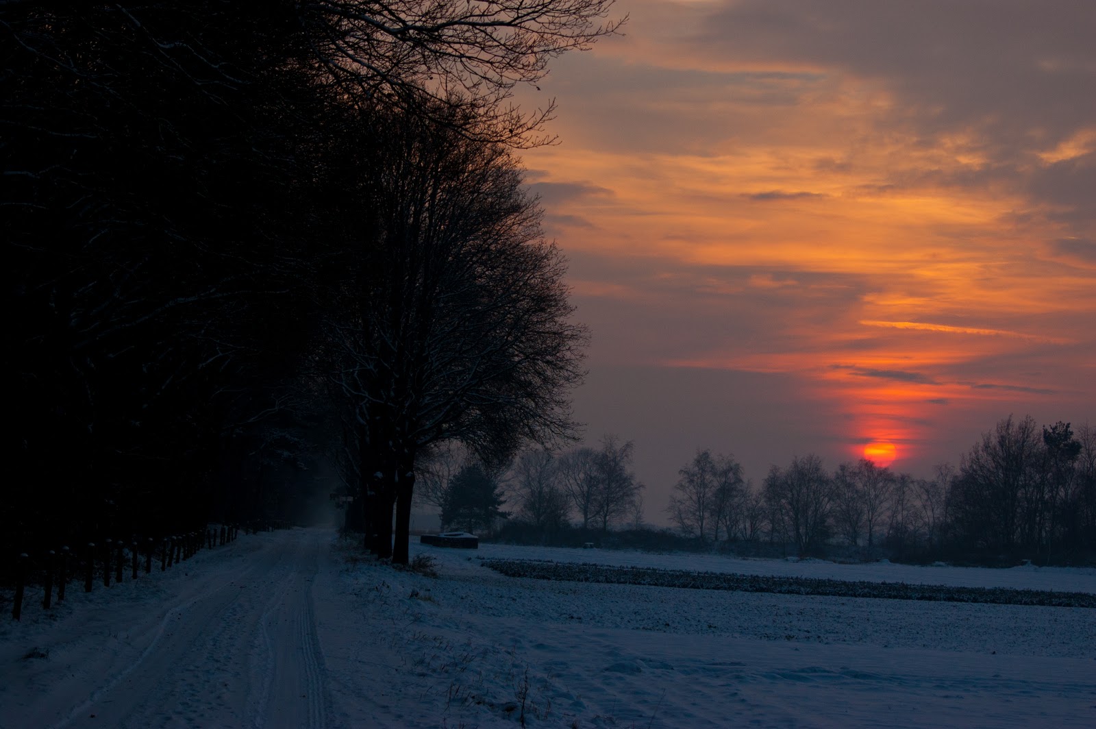 Tom Ruben Photography