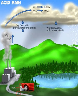 Going Green: Acid Rain