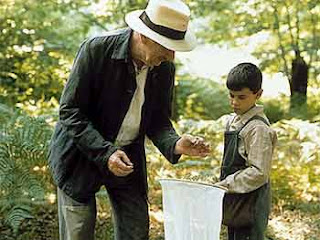 Melvin Le-fort: «¡Sapo! ¡Tilonorrinco! ¡Iris!».