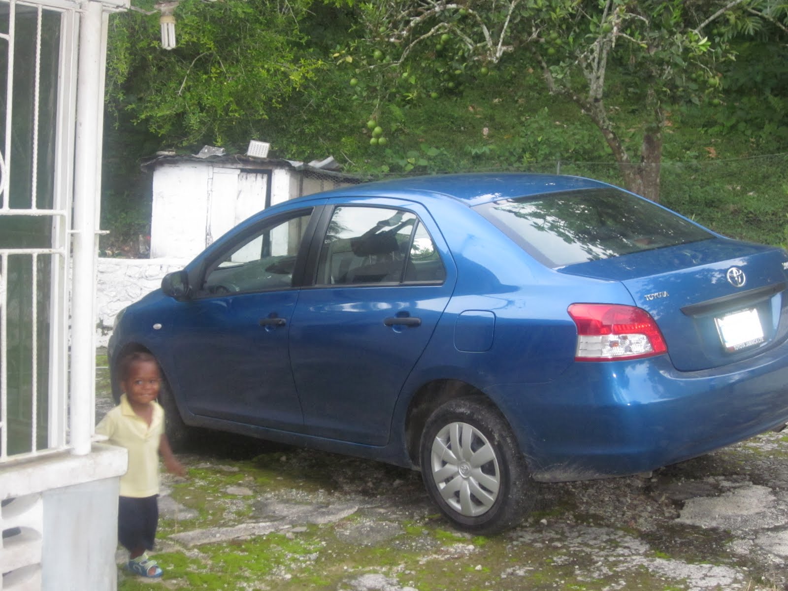 Fulbright in Jamaica 2010-2011: Country Livin': Our Trip to Lambs River ...