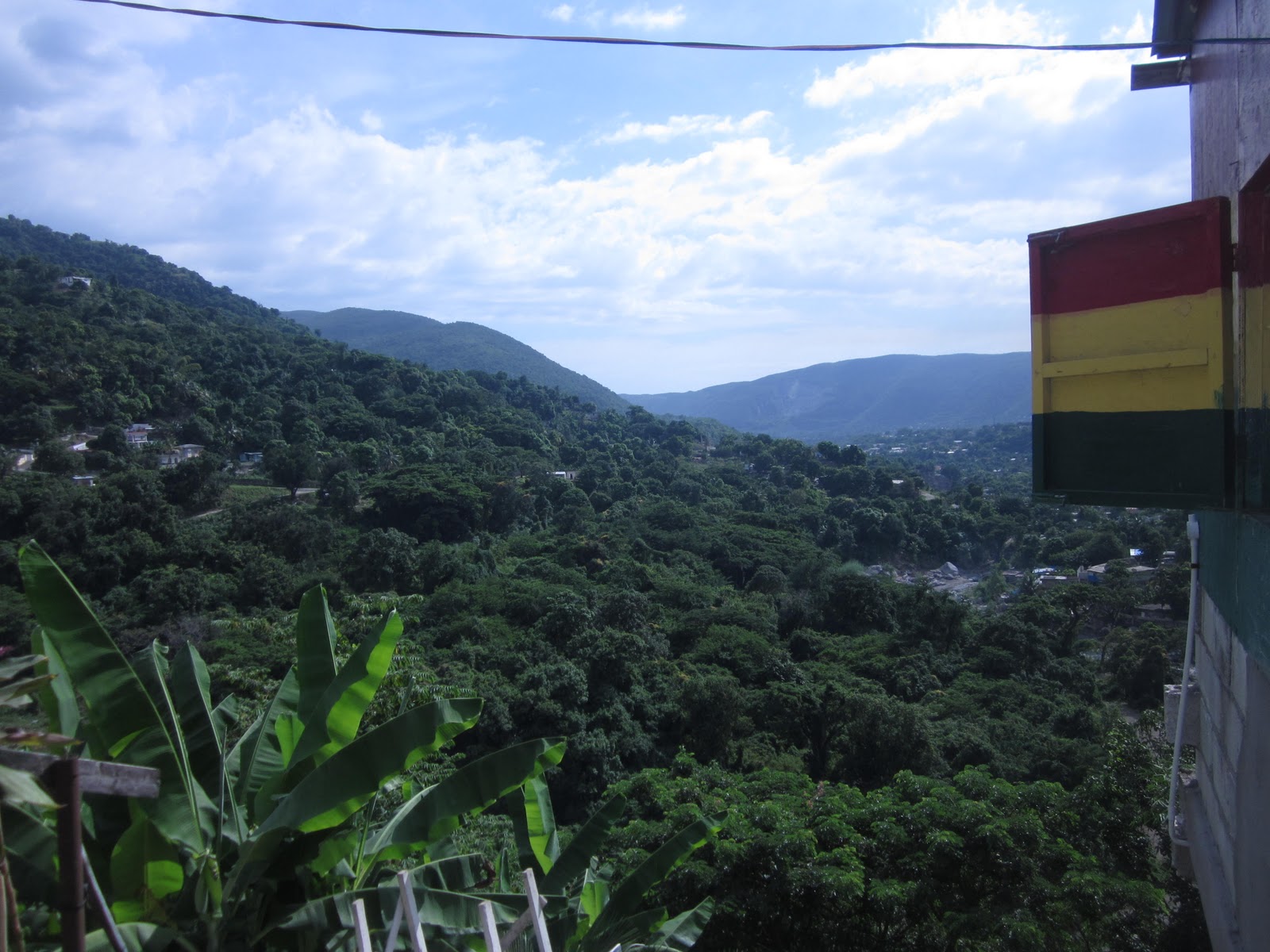 Fulbright in Jamaica 2010-2011: It's GROWN on me