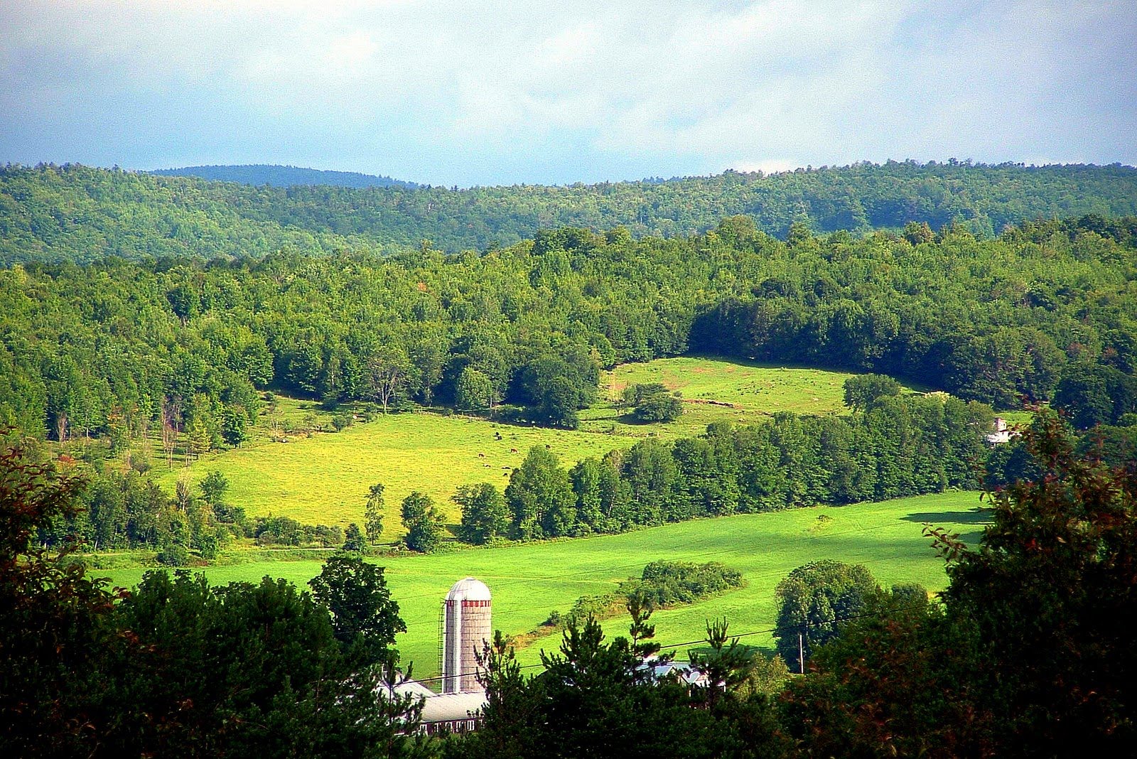 Jer's Gallery: Vermont Green