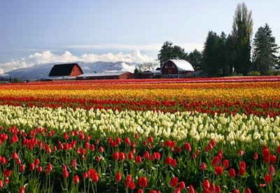 All About Unique: Top 14 Most Beautiful Parks In The World