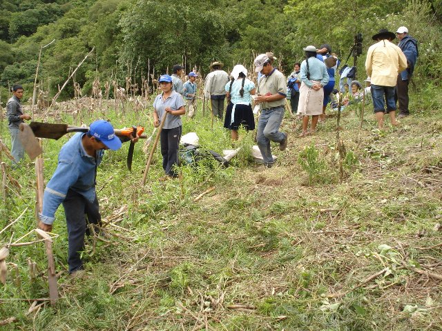 Mi Finca Integral Sostenible: PRACTICAS AGROECOLOGICAS - Sistemas Agro ...