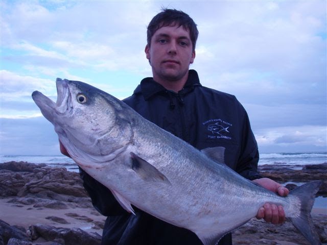 Angling: Target species: Shad