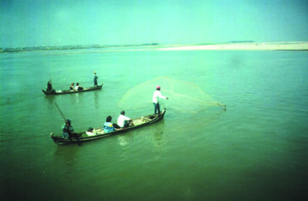 ENCHANTING MYANMAR: The Wonderful Dolphins of the Ayeyarwady River