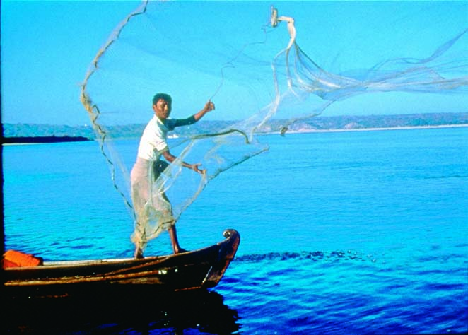 ENCHANTING MYANMAR: The Wonderful Dolphins of the Ayeyarwady River