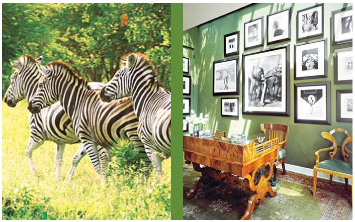 Out and About Africa: Safari Inspiration