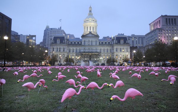 Plays With Needles: No Taxation without Pink Representation