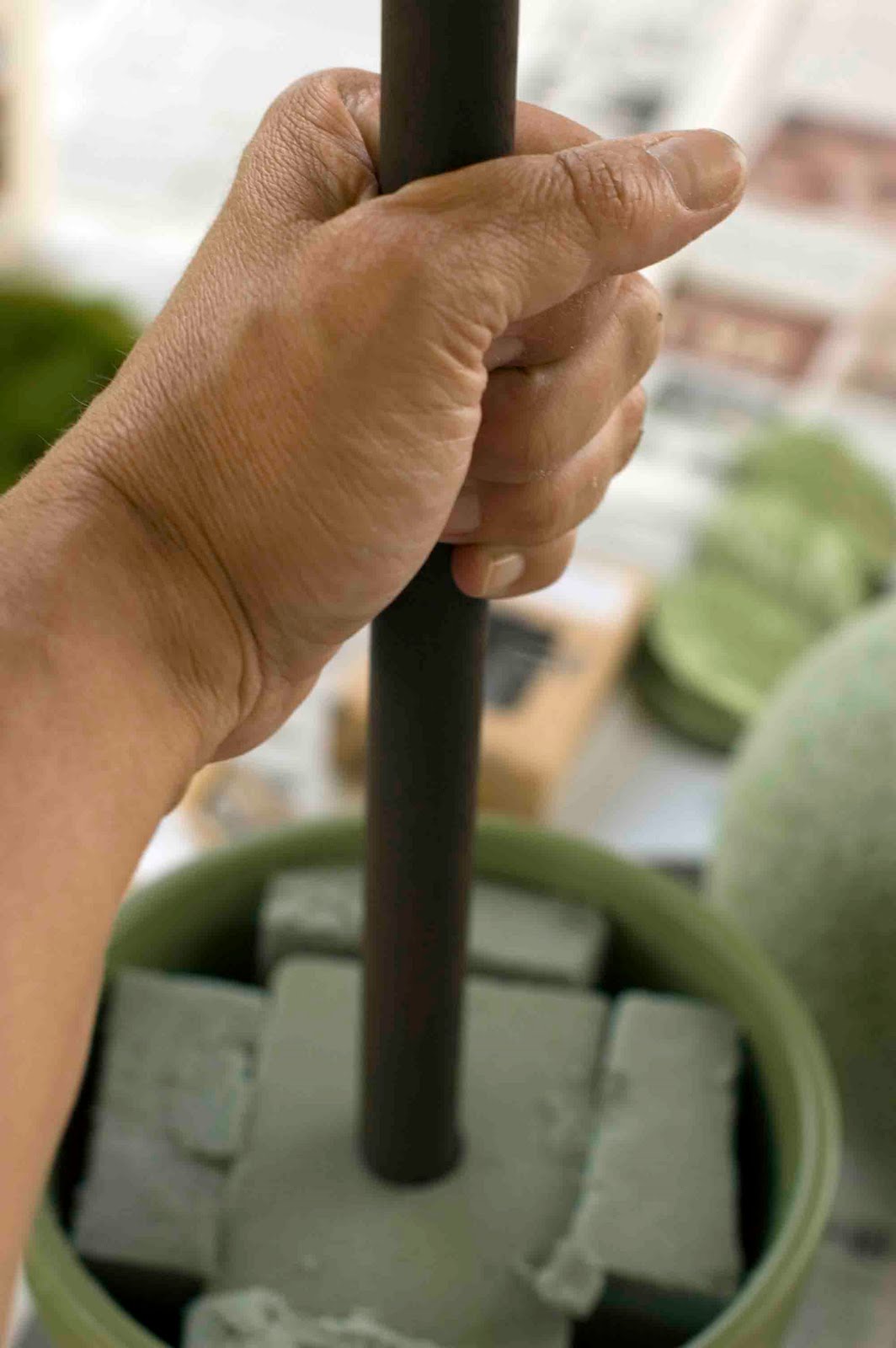 Plays With Needles: The Money Tree