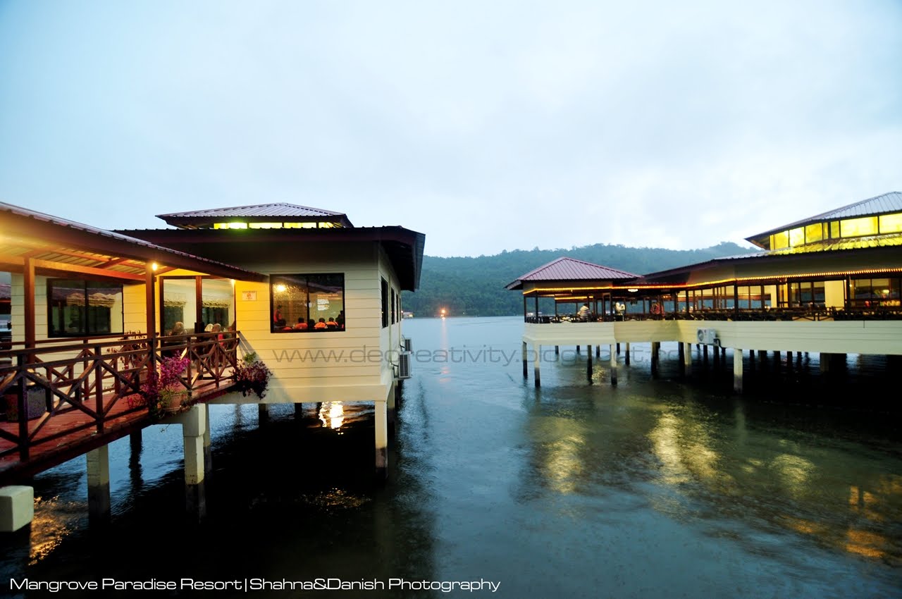 Our Creativity: Mangrove Paradise Resort