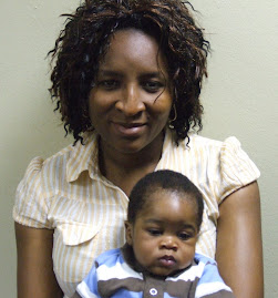 Adebola's Website: Erinmo Ijesha Mountain: A Land of Prayer