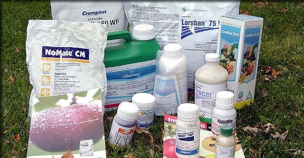 tic y ciencias naturales: SALUD Y USO DE AGROQUIMICOS EN LOS ALIMENTOS