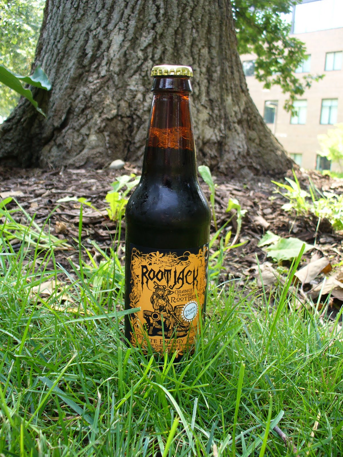 Technoindigo Review: Review: Root Jack Orange Flavored Root Beer